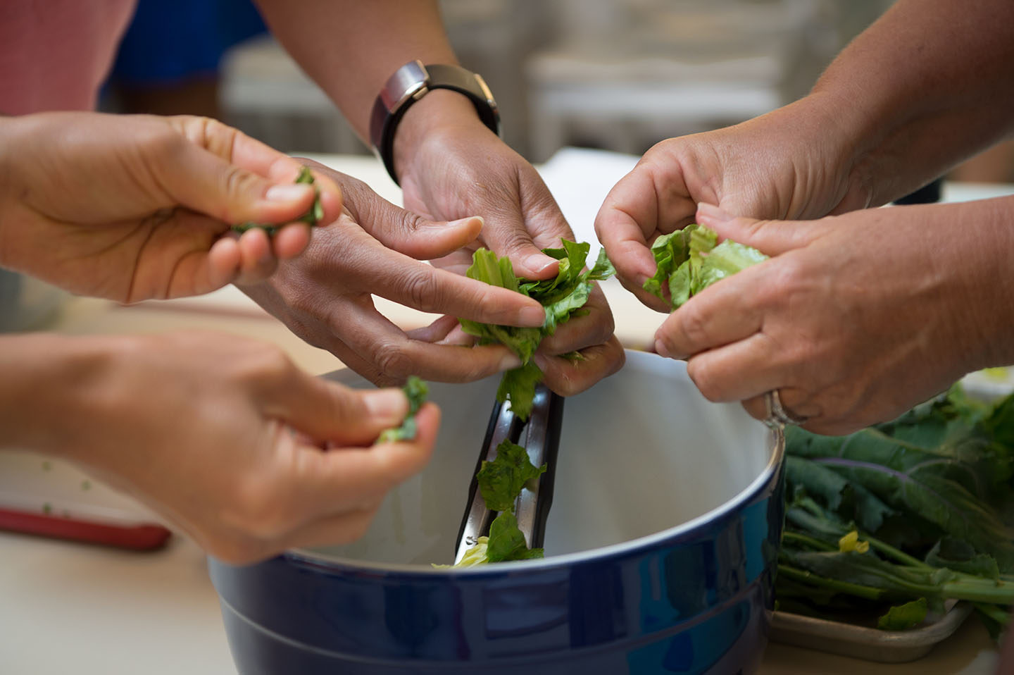 Food Memory Activity - Edible Schoolyard NYC