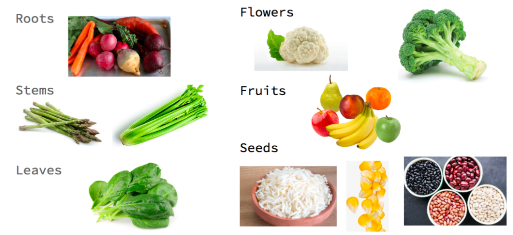 Having Fun with Food at Home - Edible Schoolyard NYC