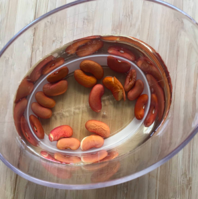 Seed Dissection - Edible Schoolyard NYC