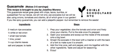 Kitchen 101: Talk Like A Chef - Edible Schoolyard NYC